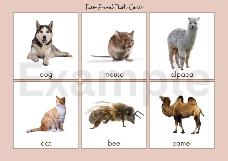 Farm Flashcards Printable Montessori Flash Cards Three Part - Etsy