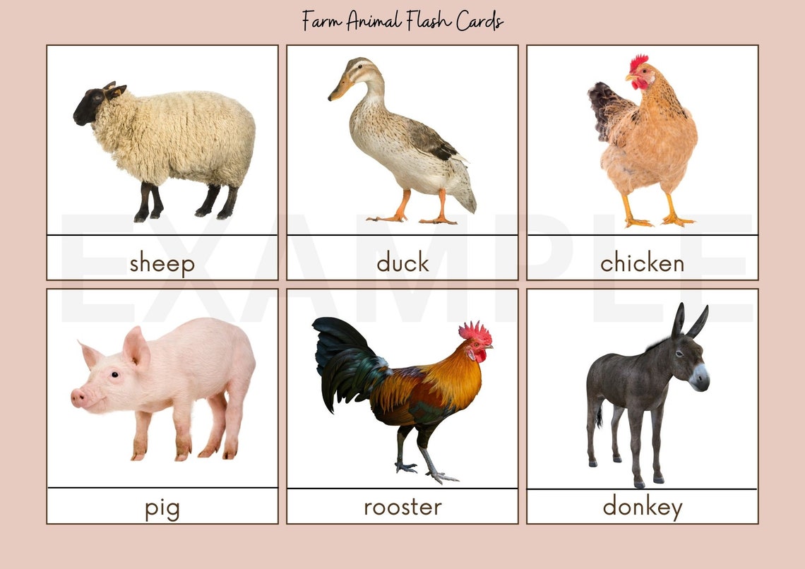 Farm Flashcards Printable Montessori Flash Cards Three Part Cards Farm ...