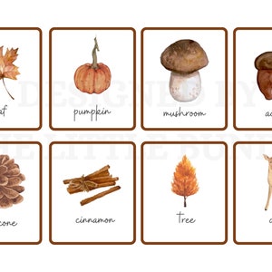 Autumn Flashcards, Fall Flashcards Printable Flashcards Printable ...