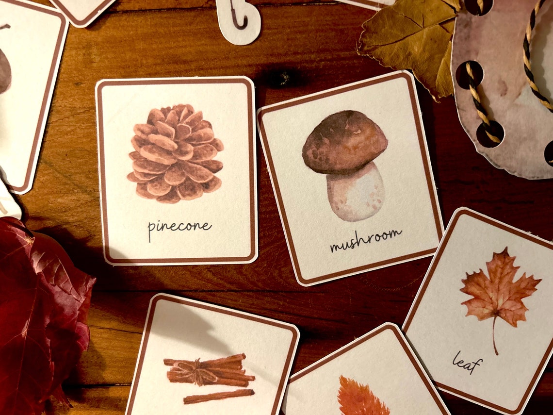 Autumn Flashcards Fall Flashcards Printable Flashcards - Etsy Australia