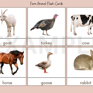 Farm Flashcards Printable Montessori Flash Cards Three Part Cards Farm ...