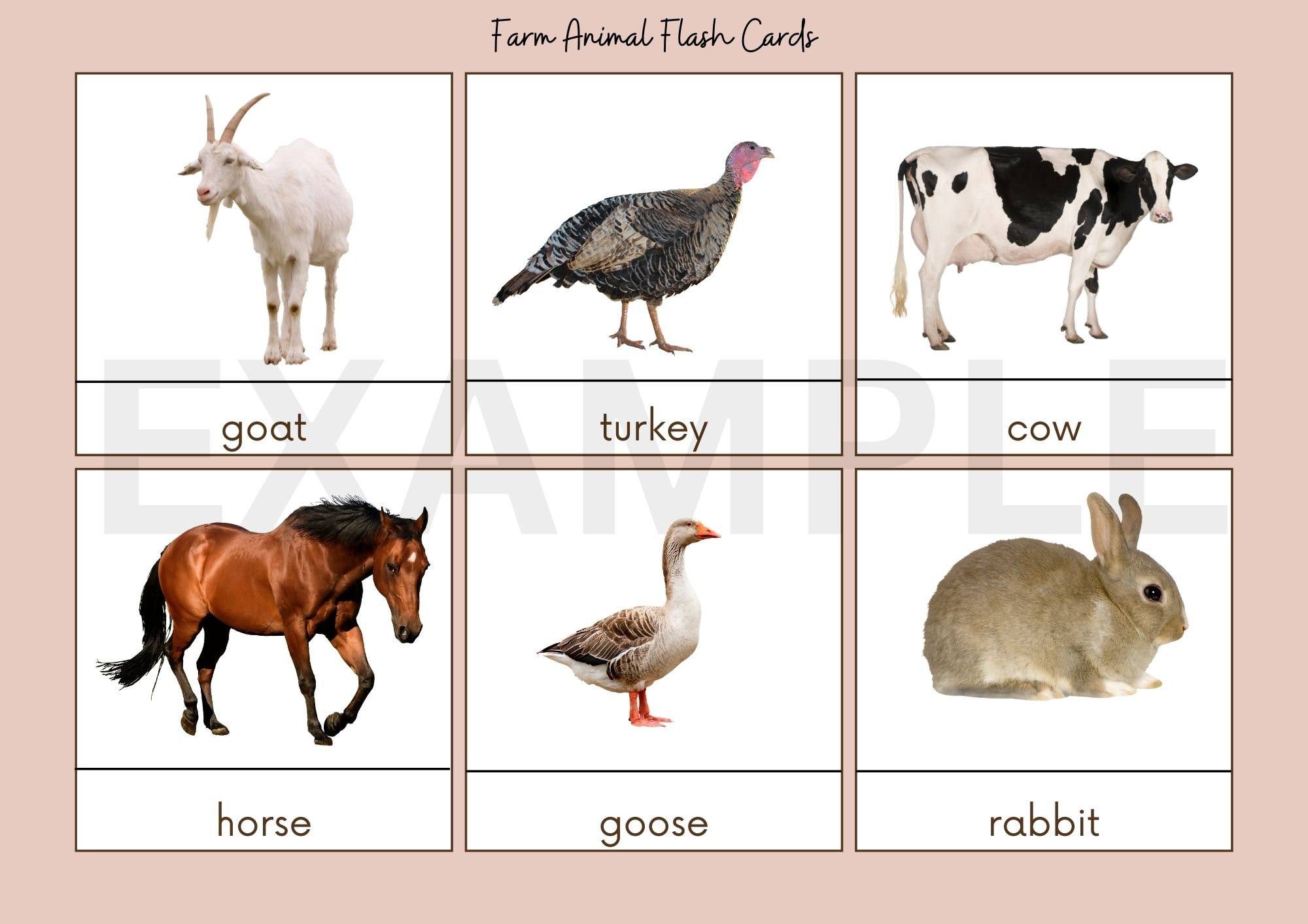 Farm Flashcards Printable Montessori Flash Cards Three Part - Etsy ...