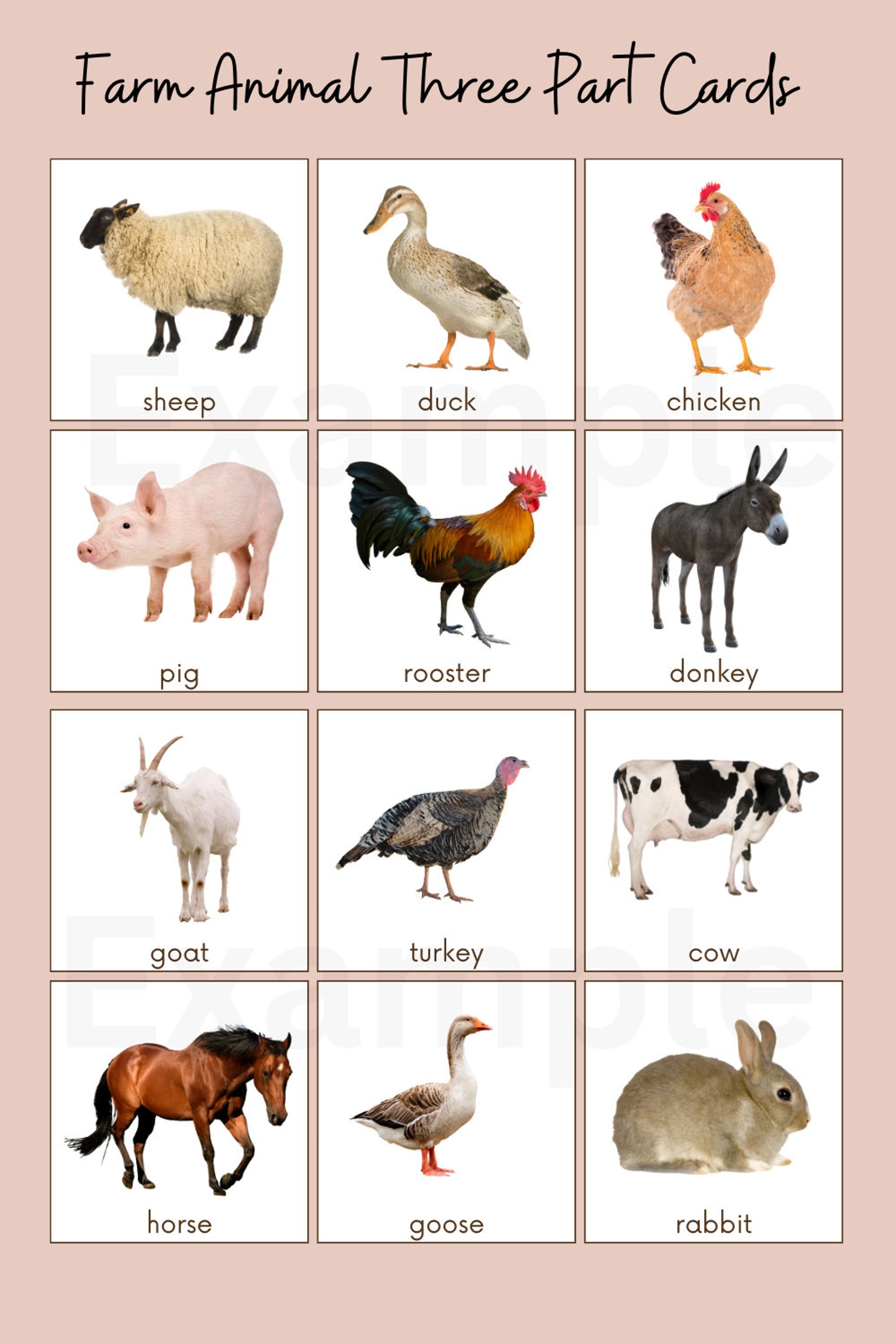 Farm Flashcards Printable Montessori Flash Cards Three Part Cards Farm ...