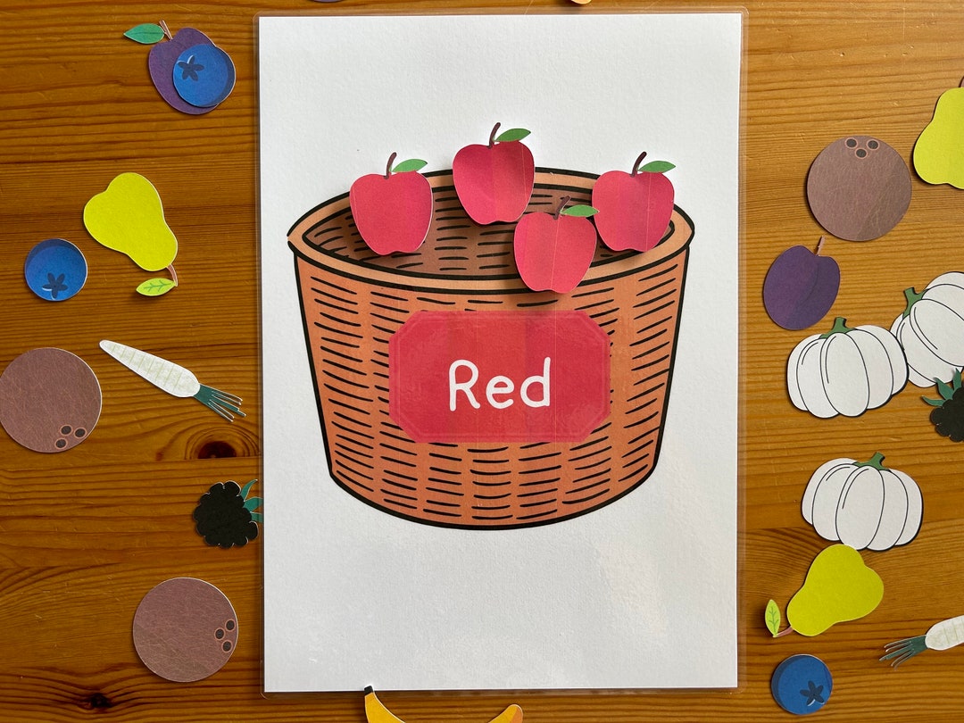 Color Sorting Activity, Montessori Color Montessori Card Printable ...