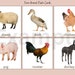 Farm Flashcards Printable Montessori Flash Cards Three Part Cards Farm ...