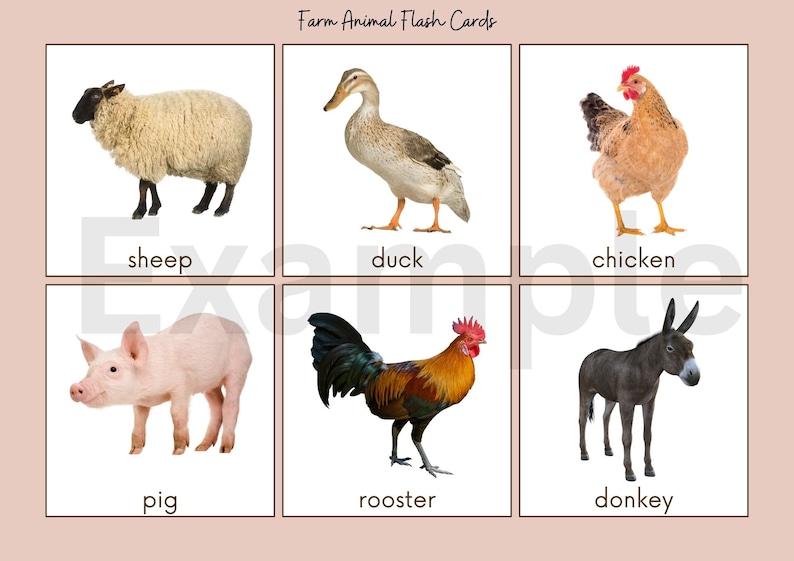 Farm Flashcards Printable Montessori Flash Cards Three Part - Etsy ...