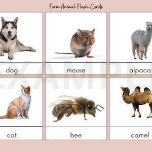 Farm Flashcards Printable Montessori Flash Cards Three Part Cards Farm ...