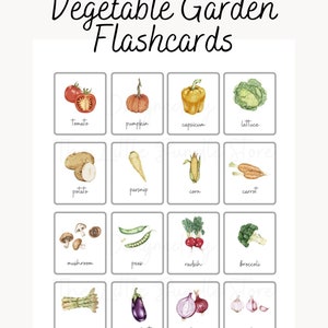 Vegetable Flashcards Print Learning Preschool Veggies Kids Flashcards ...