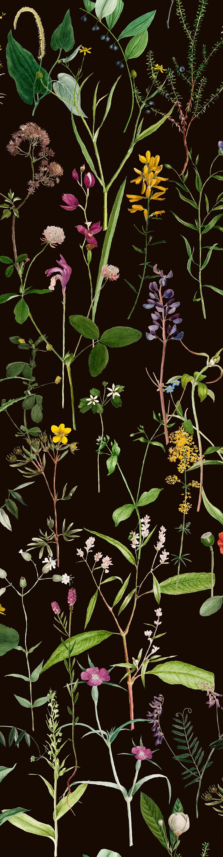 Dramatic Floral Wallpaper Countryside Flowers Wallpaper | Etsy