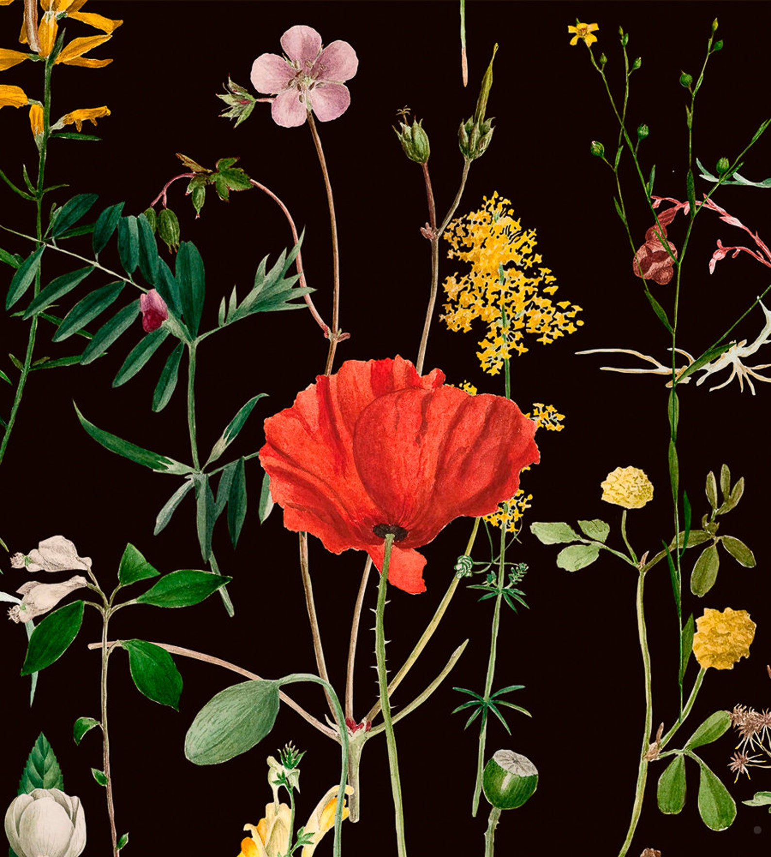 Dramatic Floral Wallpaper Countryside Flowers Wallpaper - Etsy