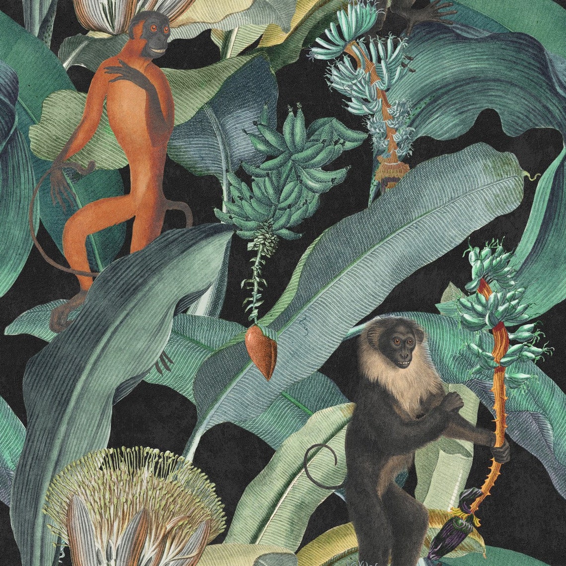 Tropical Jungle Wallpaper - Monkey Wallpaper - Designer Wallpaper ...