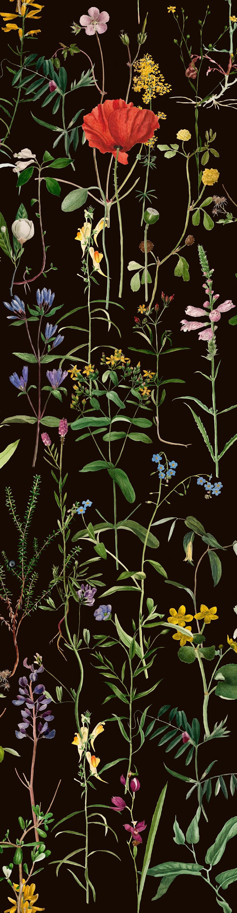 Dramatic Floral Wallpaper Countryside Flowers Wallpaper | Etsy