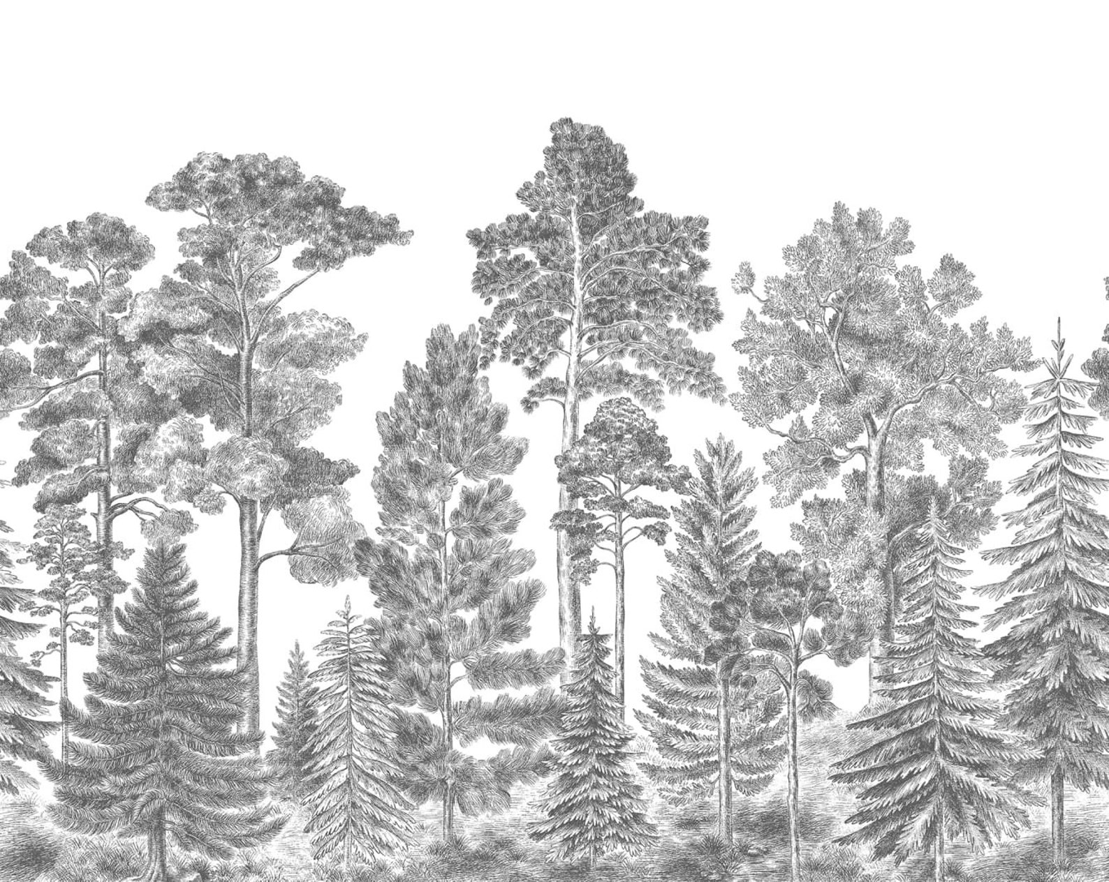 Large Scale Forest Mural Pine Forest Trees Leaves Wallpaper | Etsy