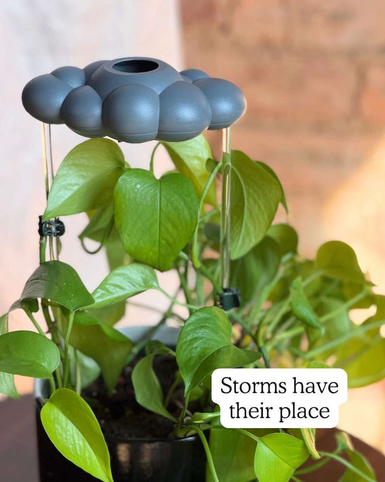 Stormy Dripping Rain Cloud Fun Decor and Plant Watering Tool - Etsy