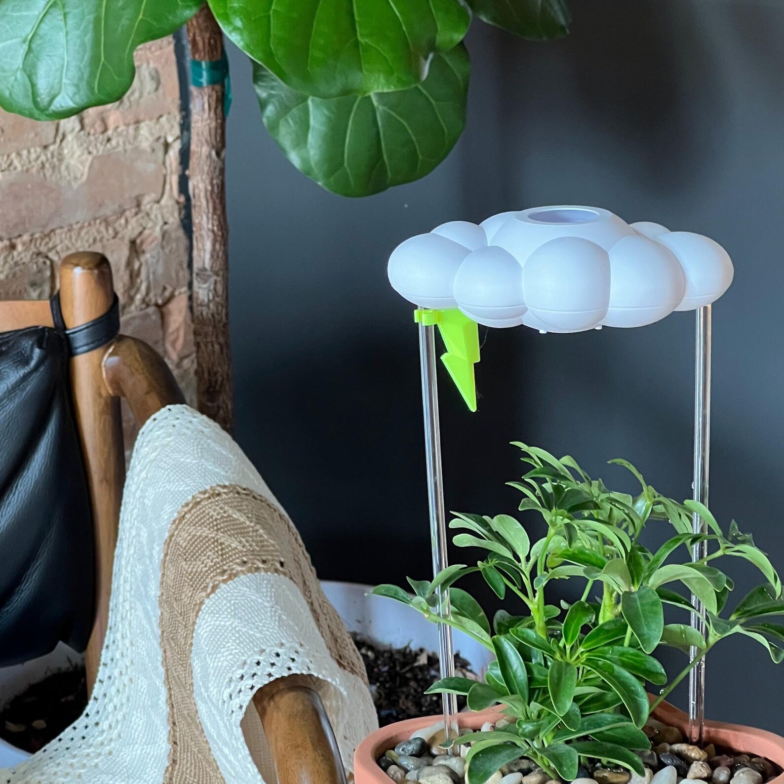 Original Dripping Rain Cloud for Plants With Neon Lightning Bolt Charm ...