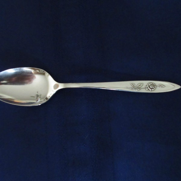 Oneida Community Stainless Flatware - Etsy