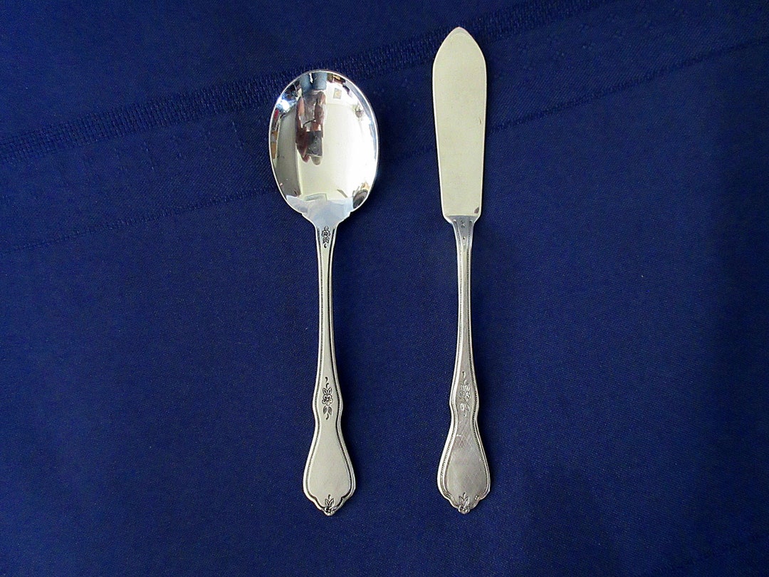 Stainless Sugar Spoon/butter SPREADER Oneida in MORNING - Etsy