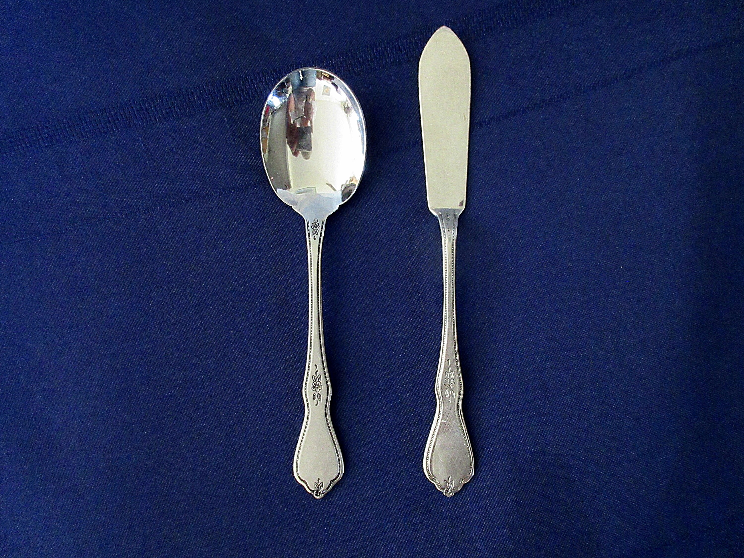 Stainless Sugar Spoon/butter SPREADER Oneida in MORNING - Etsy