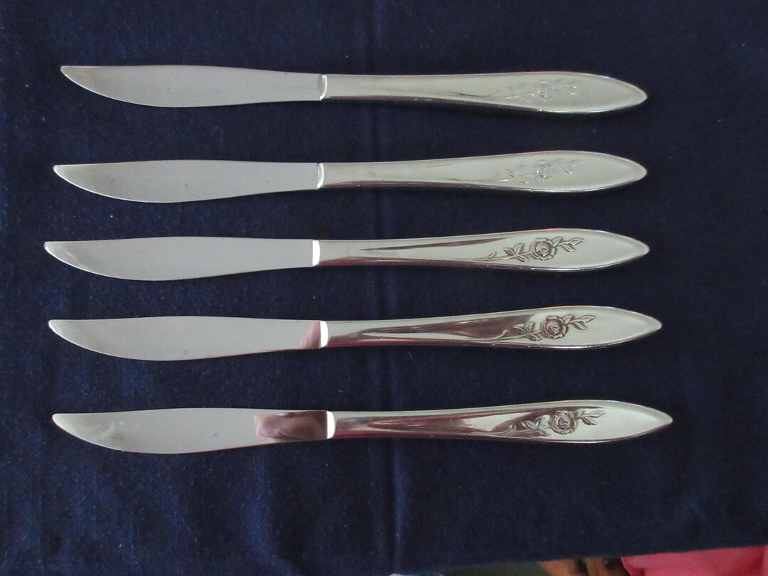 5 Stainless Mid-century Modern Hollow Handle Steak KNIVES From Oneida ...