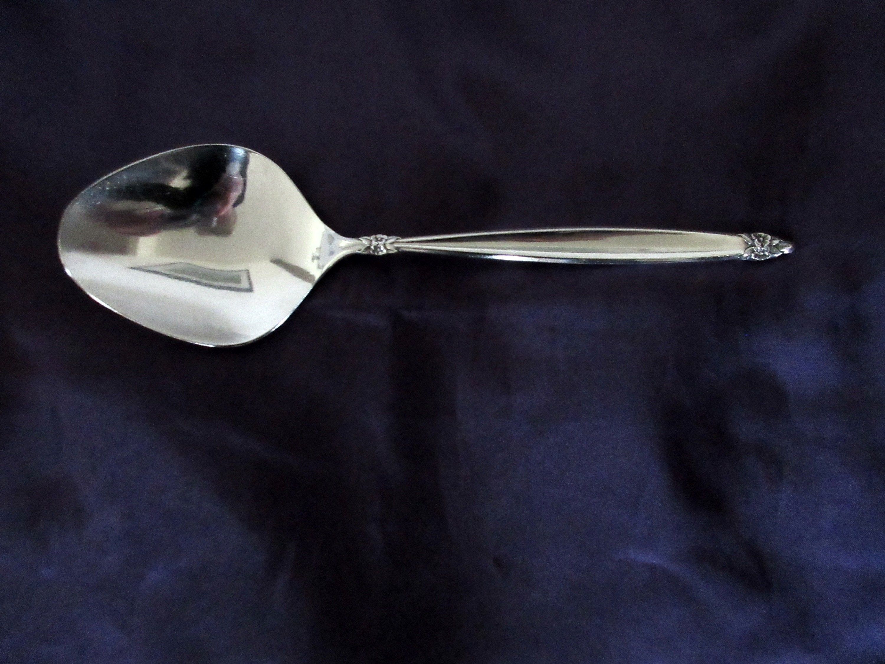 Concave Mirror Spoon