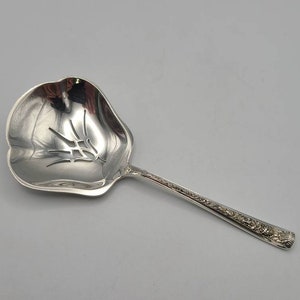 Vintage Watson Sterling Silver Windsor Rose Candy Serving Spoon, W#2490 ...