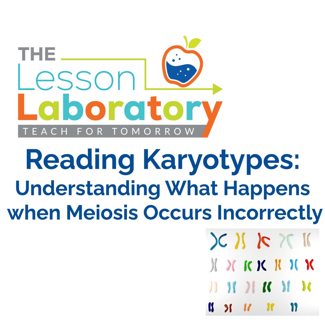 Reading Karyotypes: Understanding What Happens When Meiosis Occurs ...