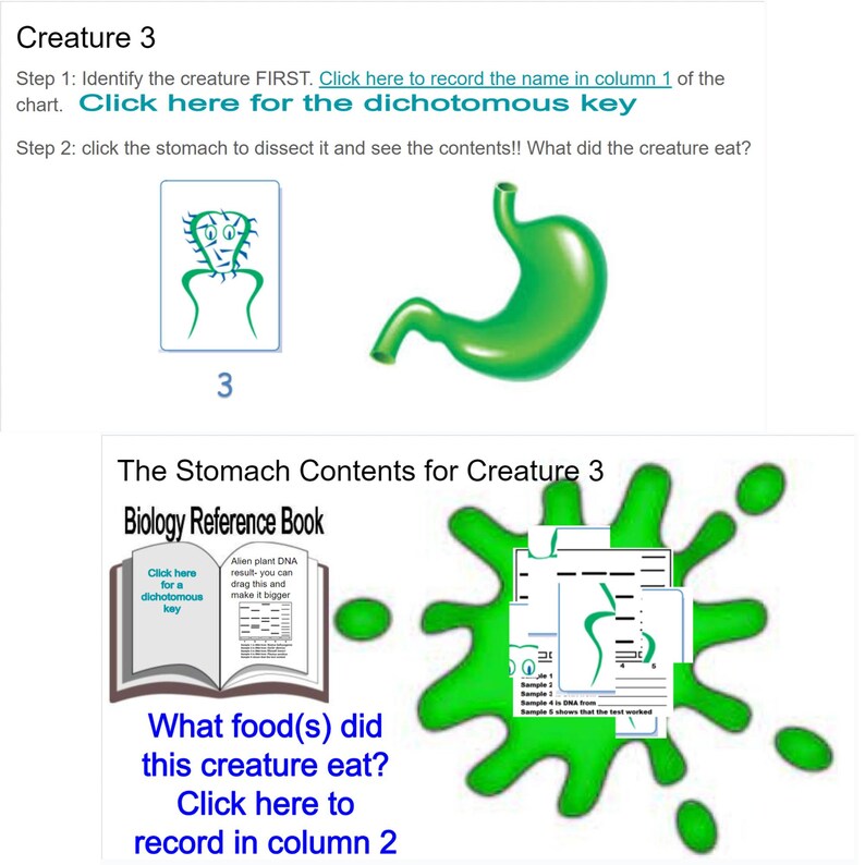 Alien Explorer- Dichotomous Keys and Food Webs - Etsy