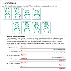 Alien Explorer Dichotomous Keys and Food Webs - Etsy