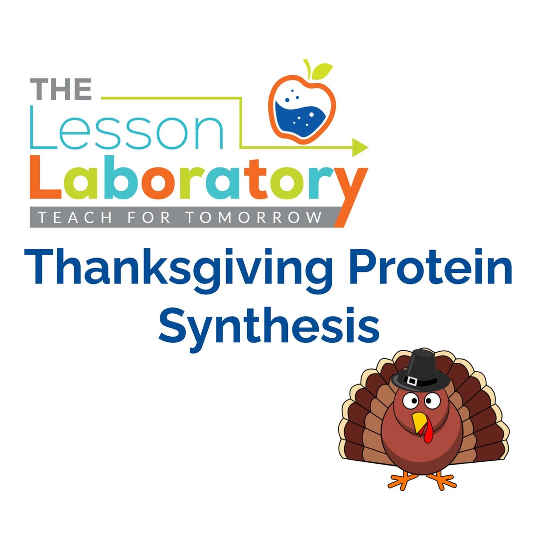 Thanksgiving Themed Protein Synthesis Practice - Etsy