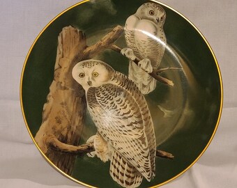 The Snowy Owl Plate - Etsy