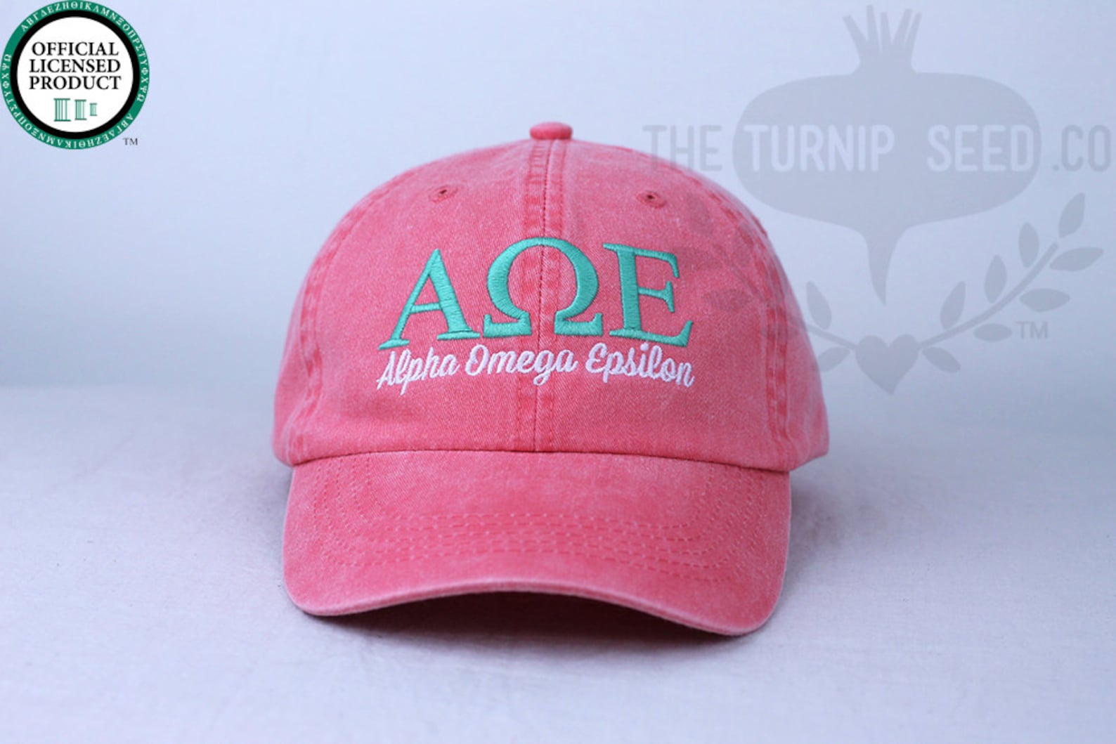 Alpha Omega Epsilon Sorority Baseball Cap - Custom Color Hat and ...