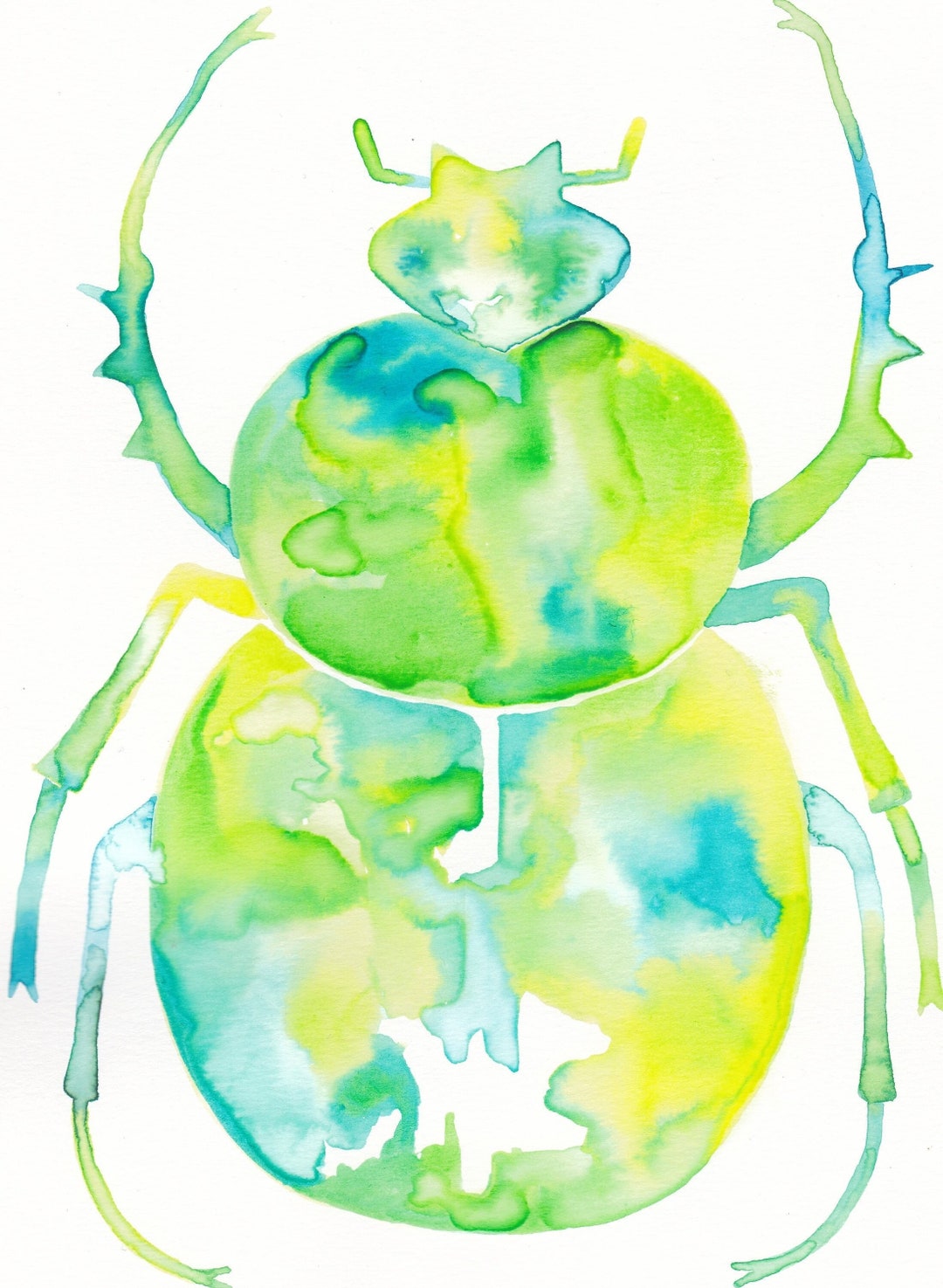 June Bug Print, Blue & Green Yellow Legs Insect - Etsy