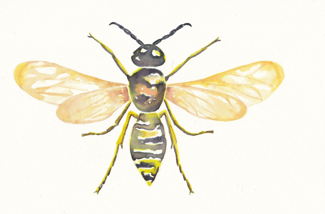 Wasp Print, Yellow Jacket, Hornet, Yellow Black Wings Stripes Fly - Etsy