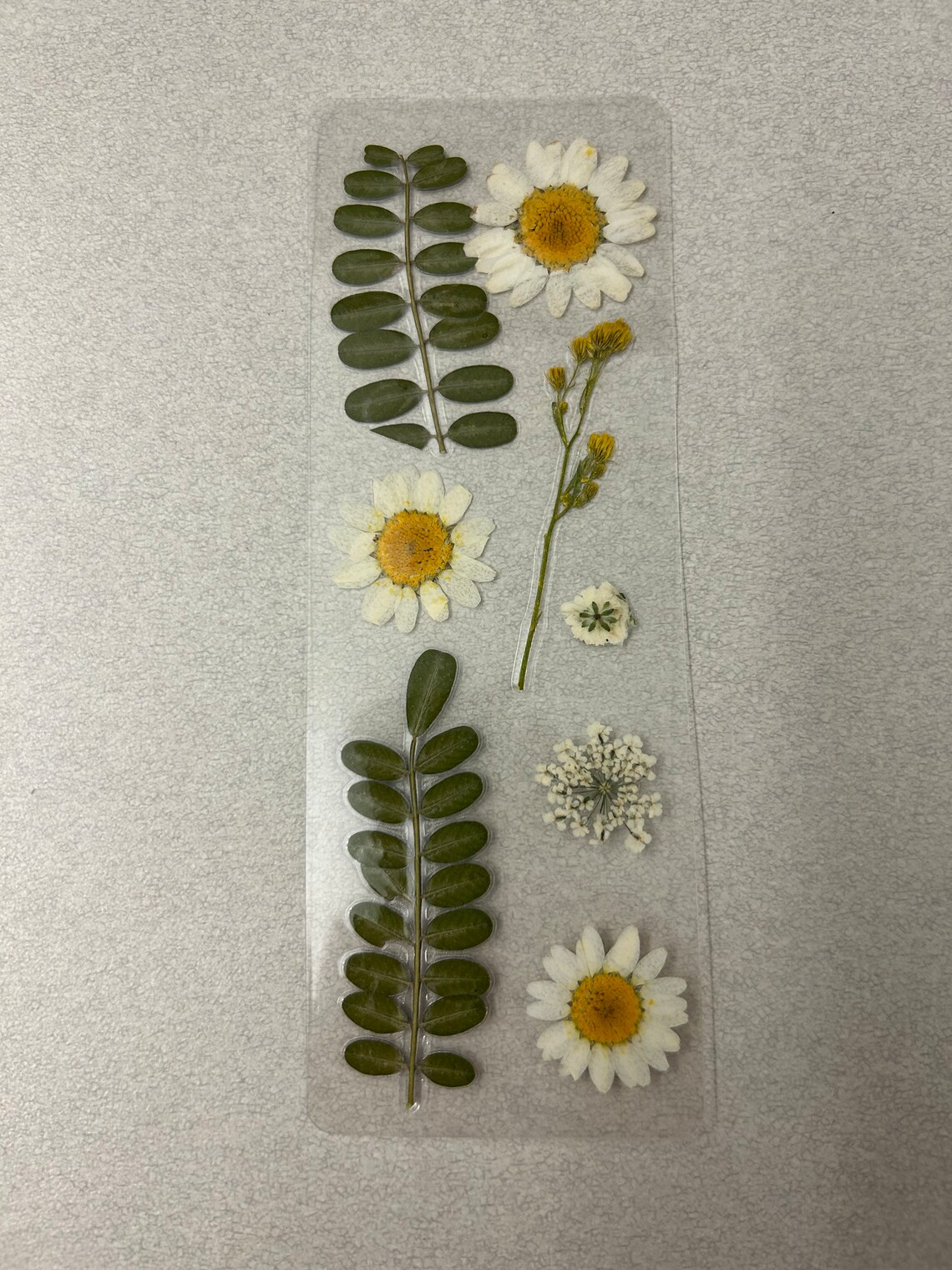 Handmade Pressed Floral Laminated Bookmarks Real Flowers Book Lover ...