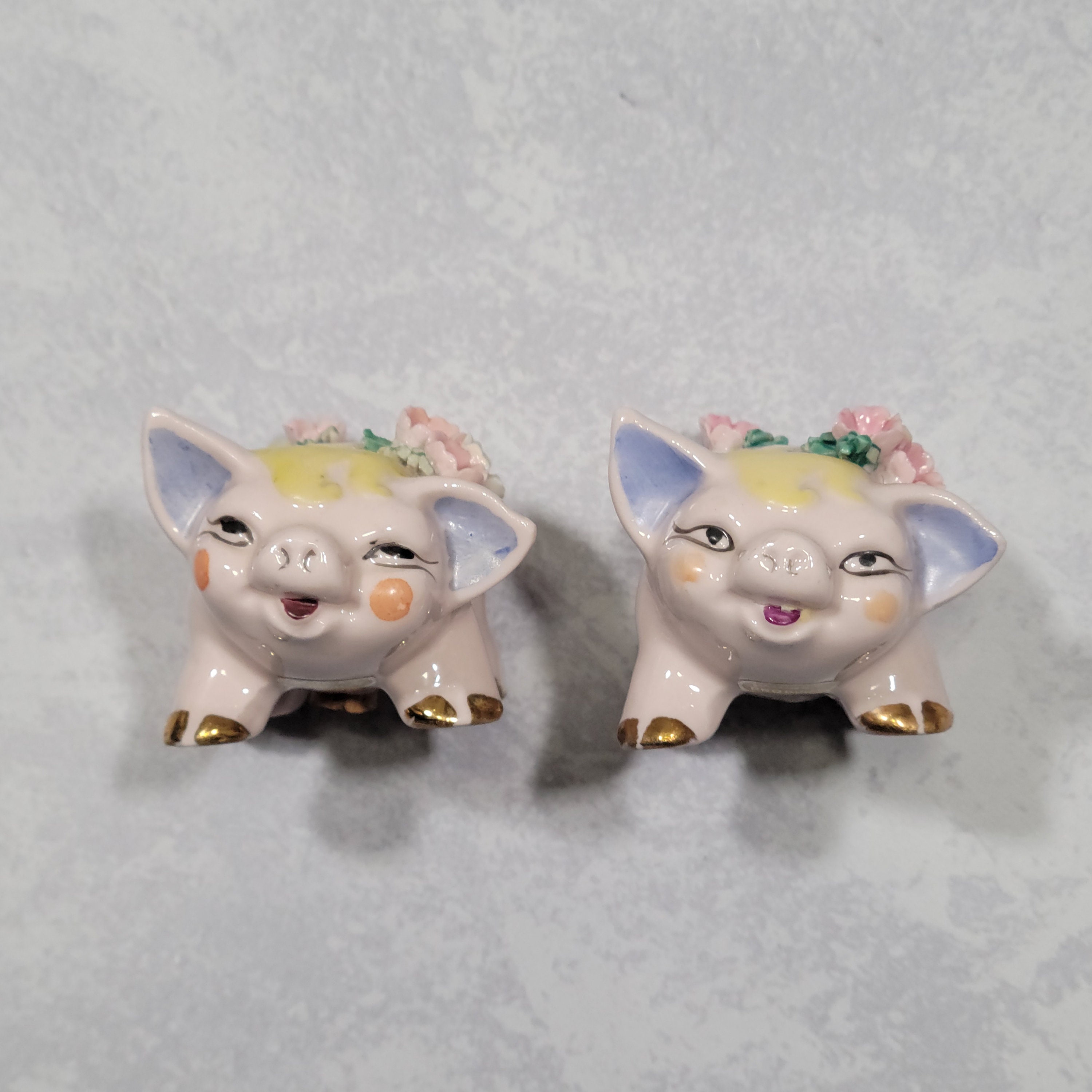 Vintage Pink Decorated Pigs With Flowers Ceramic Salt & Pepper - Etsy