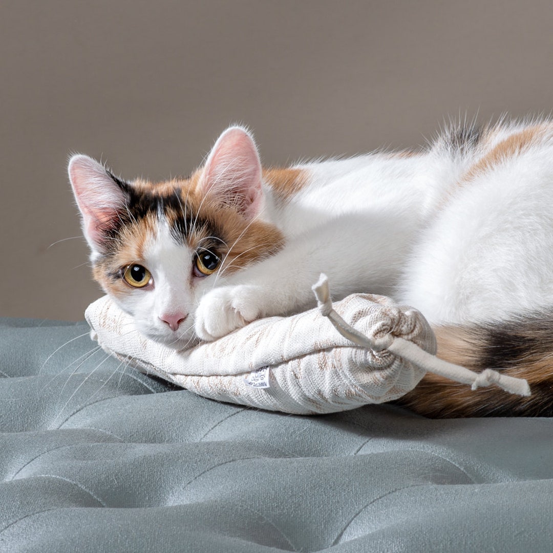 Long Catnip Snake Toy - Organic Catnip Cat Toy - Perfect to Bunny Kick ...