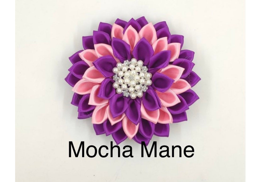 Kappa Epsilon Psi Military Sorority, Inc. Pin and Hair Piece 2 in 1 - Etsy