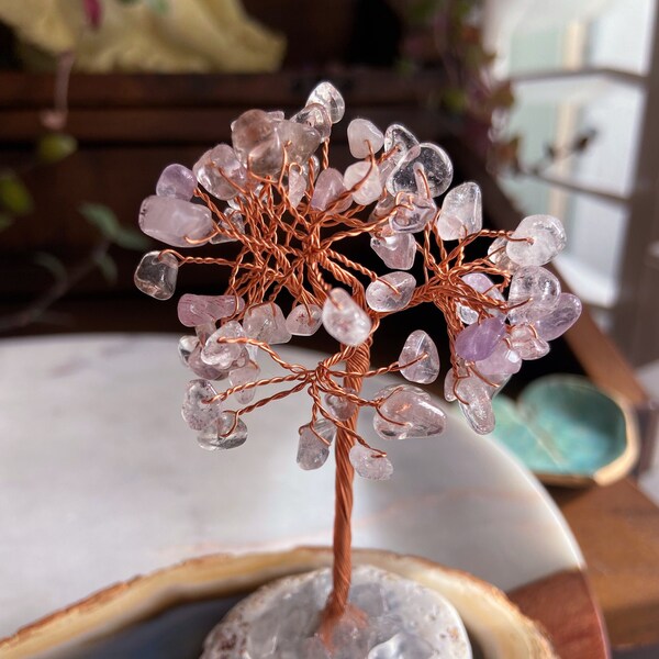 Amethyst Money Tree - Etsy