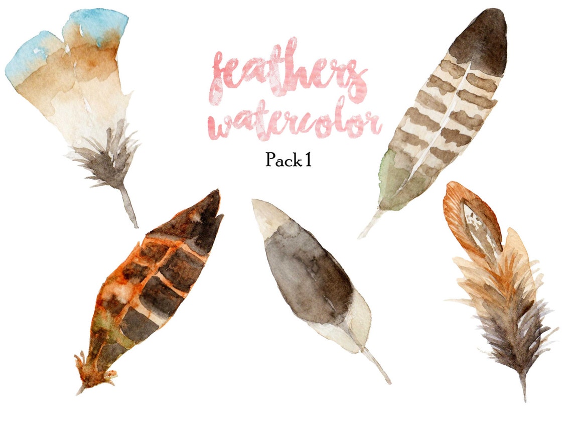 Feathers Clip Art / Watercolor Clip Art / Stock Image / Digital ...
