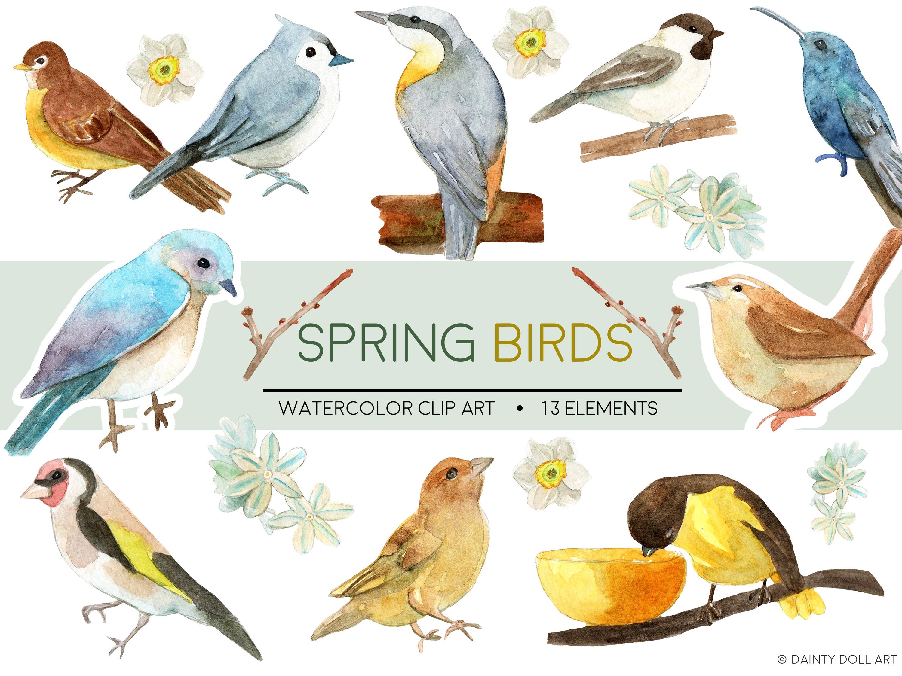 Birds Clipart Watercolor Spring Little Cute Wildlife Animal - Etsy