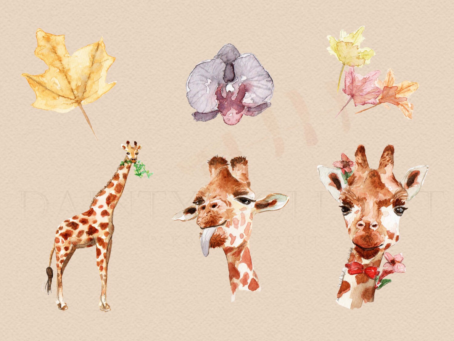 Giraffe Clipart Watercolor Safari Wildlife Animal Jungle Baby Giraffe ...