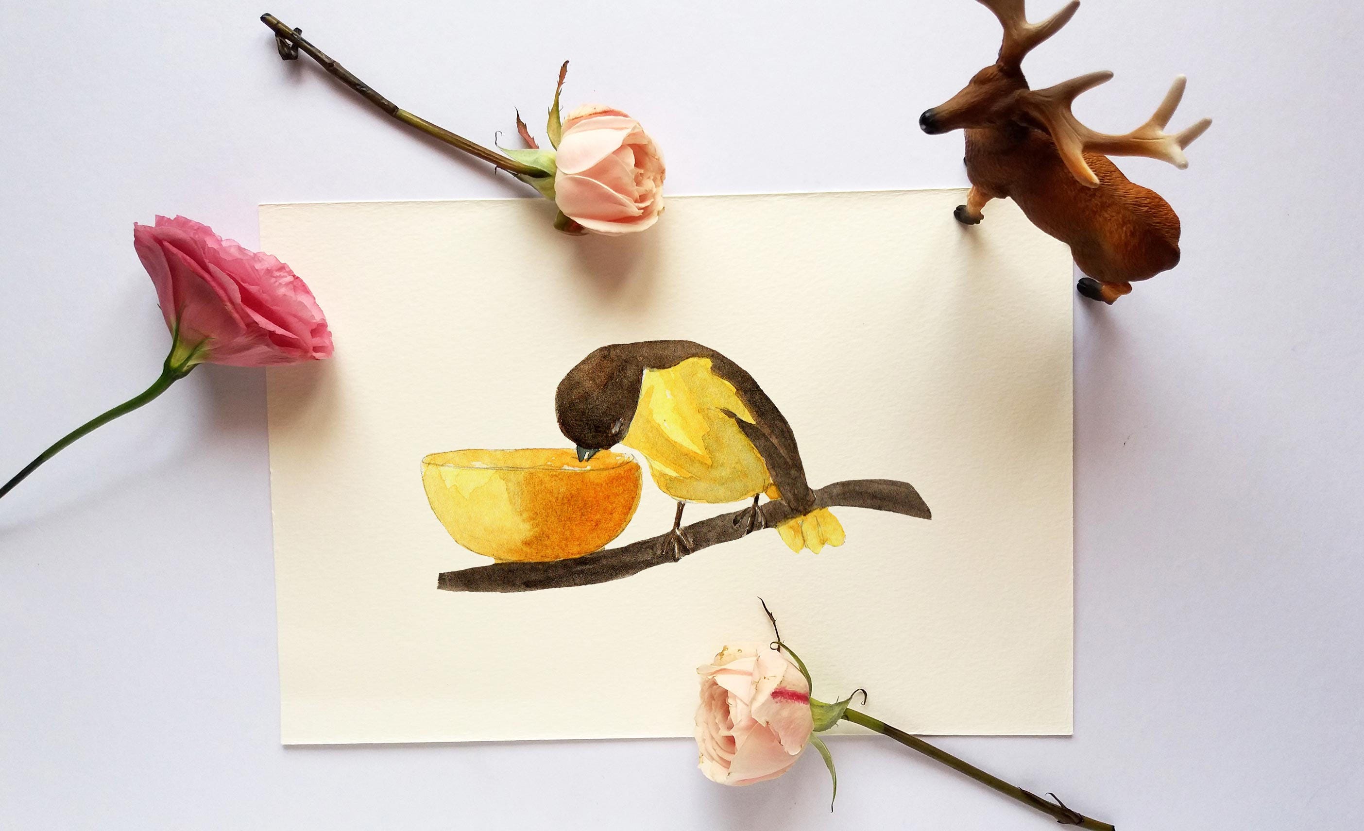 Birds Clipart Watercolor Spring Little Cute Wildlife Animal - Etsy