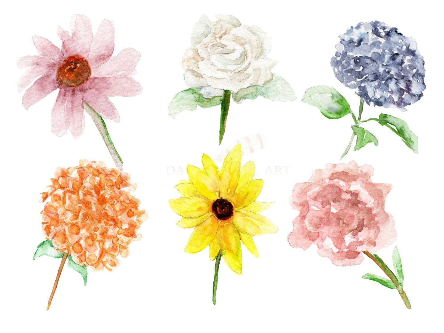 Summer Flower Floral Watercolor Clipart Digital Scrapbooking - Etsy