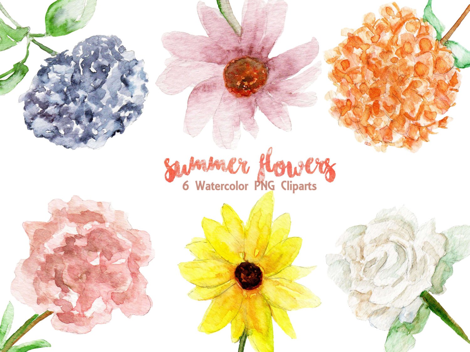 Summer Flower Floral Watercolor Clipart Digital Scrapbooking - Etsy