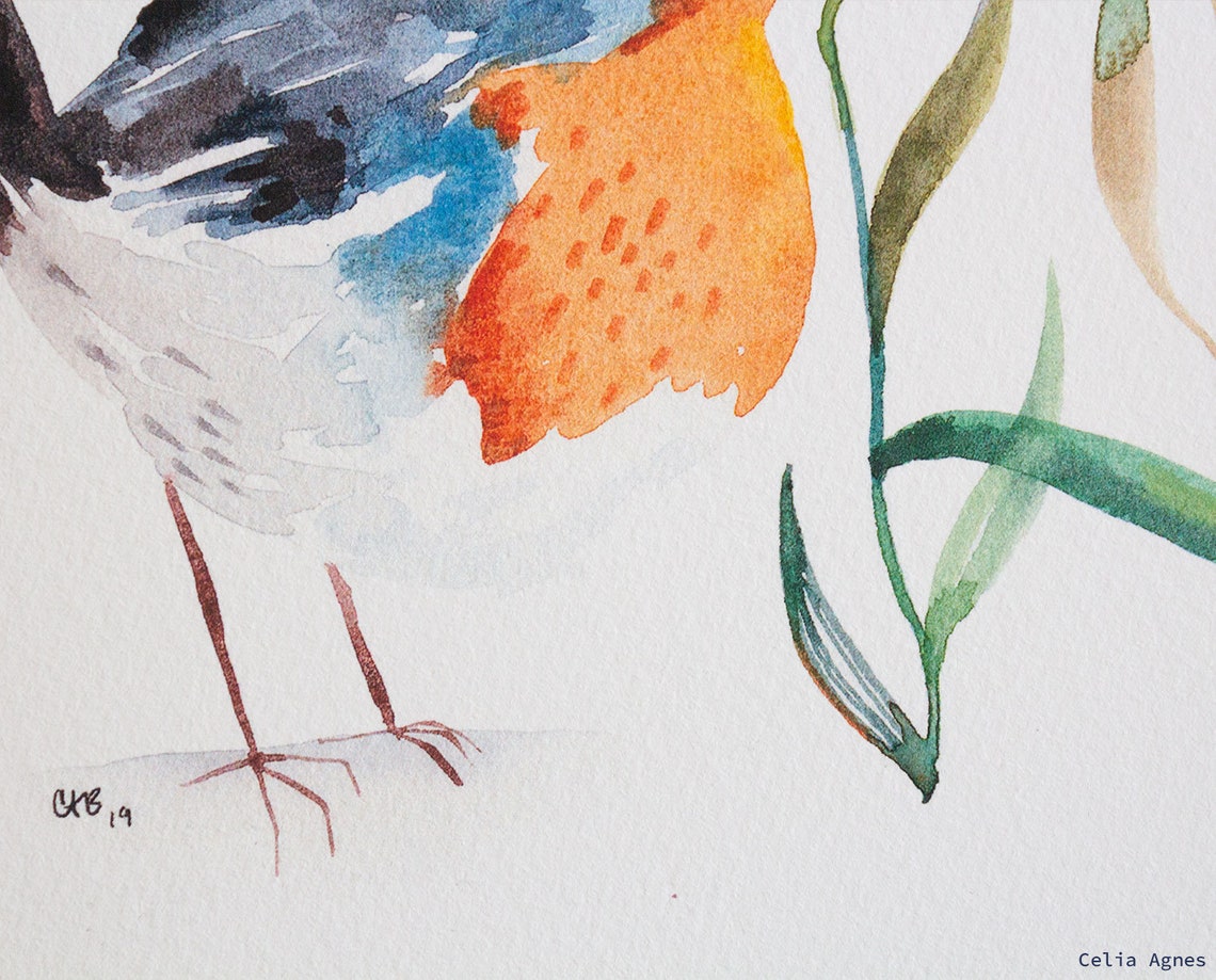 Robin Watercolor Bird Print - Etsy