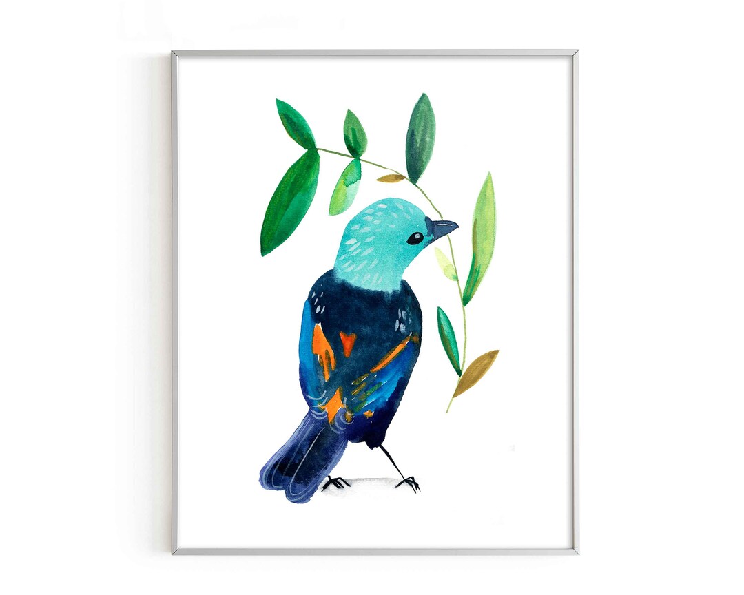 Seven Colored Tanager Bird Print - Etsy