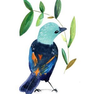Seven Colored Tanager Bird Print - Etsy