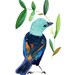 Seven Colored Tanager Bird Print - Etsy
