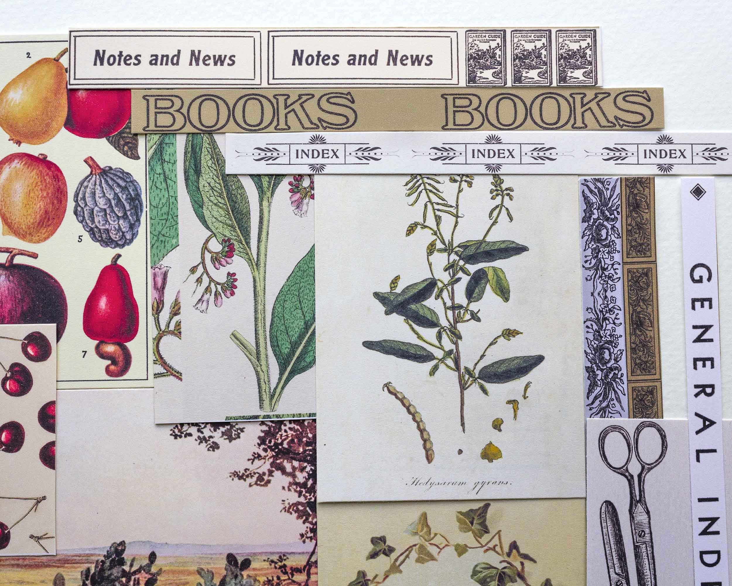 Cottagecore Journal Printables - Etsy