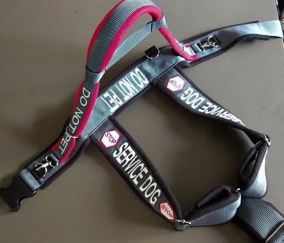Custom Y-Front Service Dog Harness | Etsy